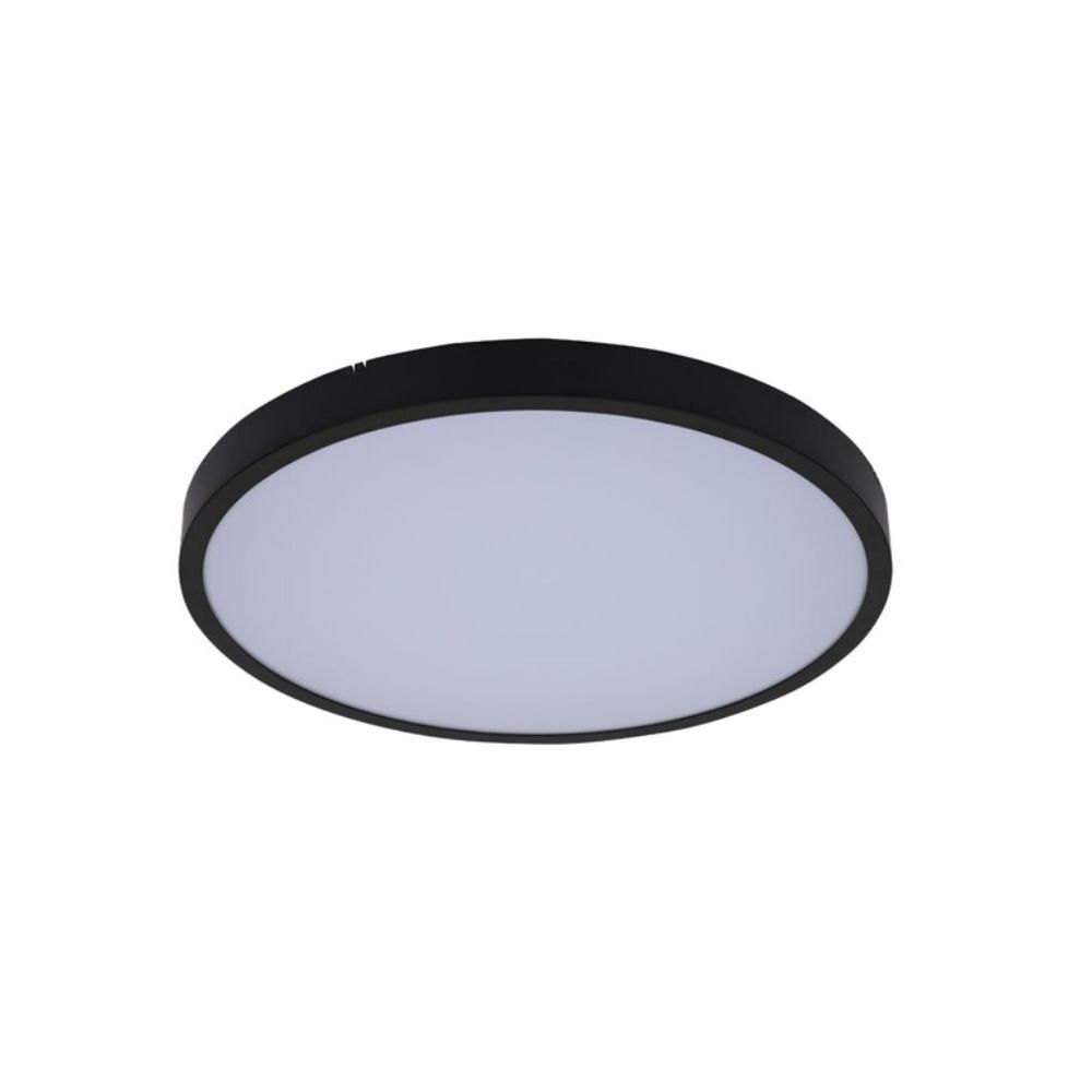 RABALUX Alenzo LED 24W 71437 Plafonska sijalica | Gigatron