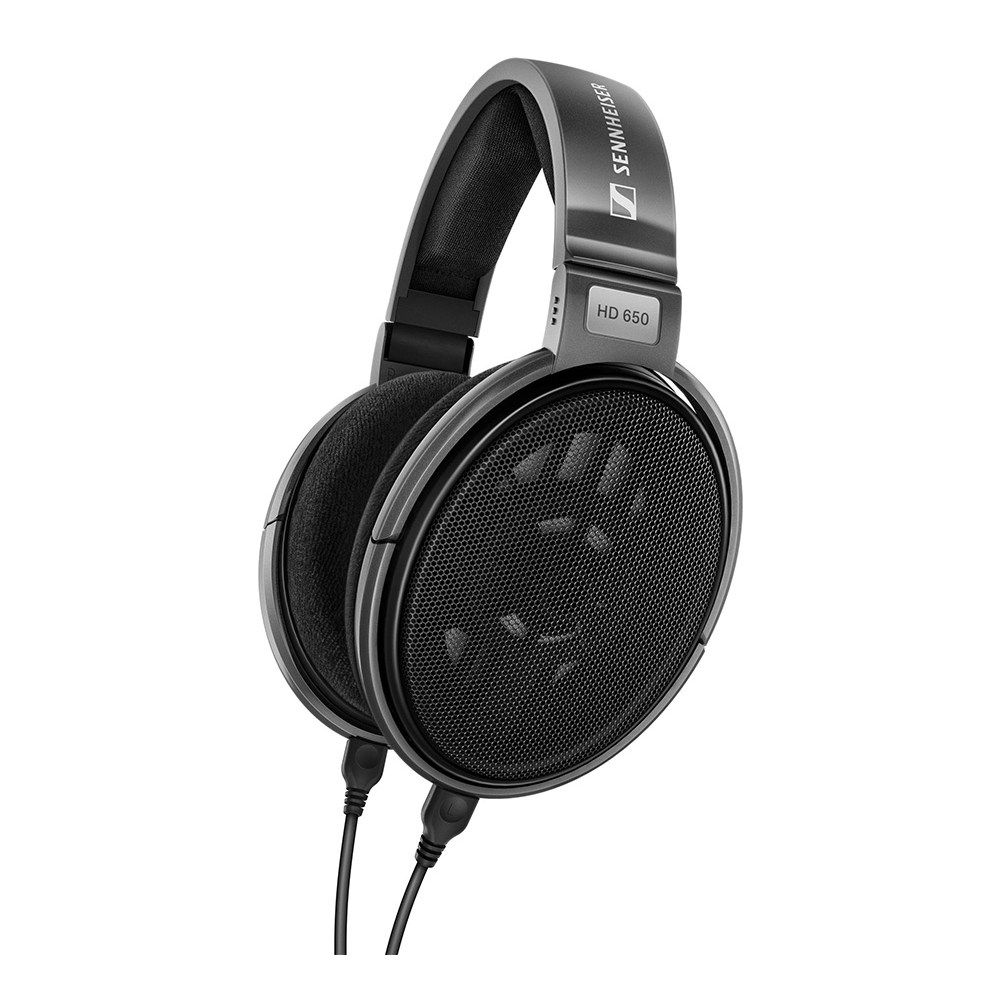 SENNHEISER HD 650 | Gigatron